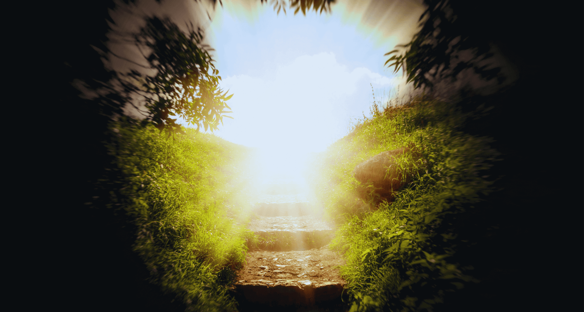 Pinnacle Treatment Centers - Drug & Alcohol Treatment Centers